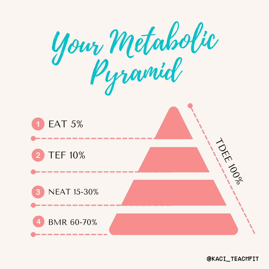 Breaking down the acronyms you hear regarding your metabolism – Elliott ...