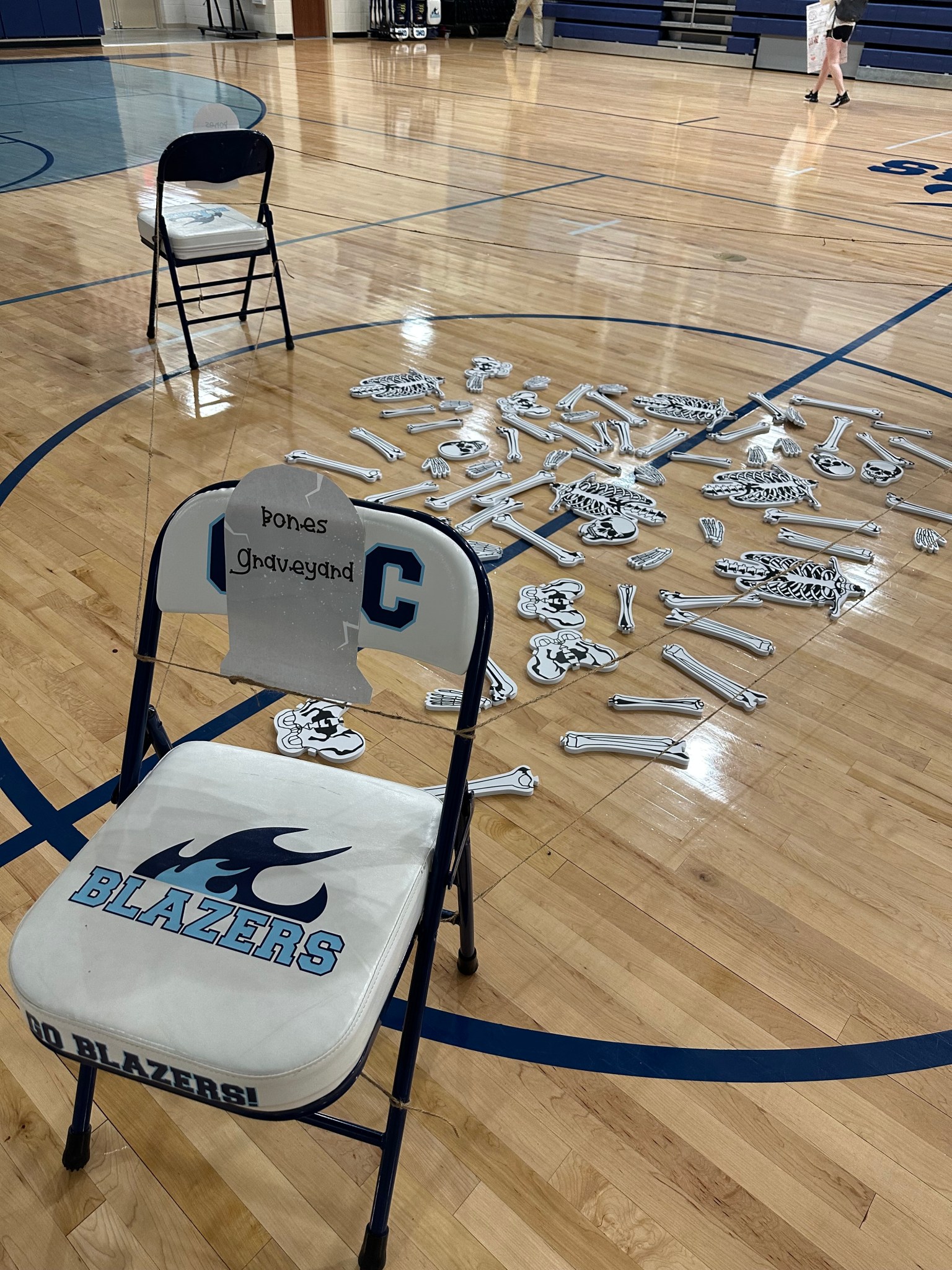 The Skeletal System – Elliott's Active Academy